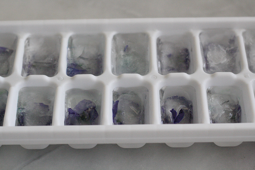 Edible Flower Ice Cubes
